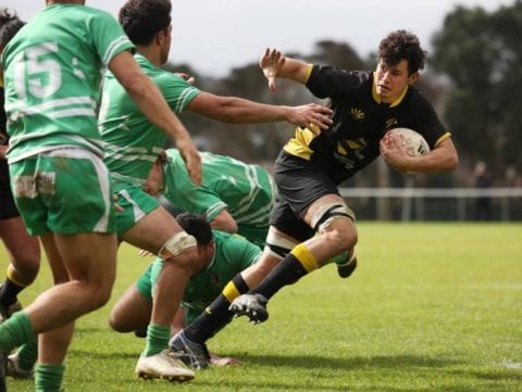 Waimea’s Caleb Delany makes Wellington debut - Waimea Weekly Website